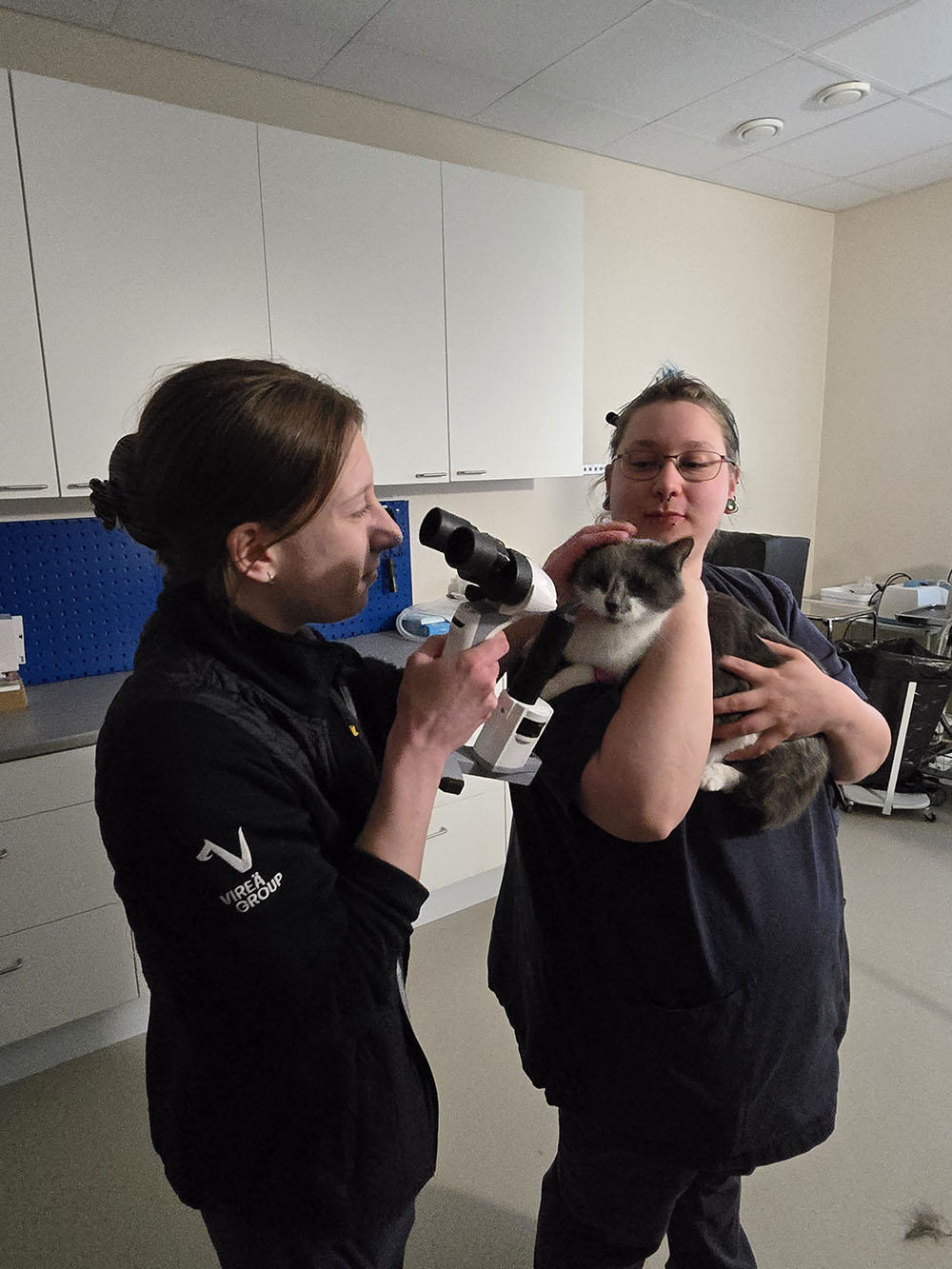 Erityisosaaminen - Länsirannikon Eläinklinikka